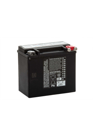 Harley Davidson AGM Batterie 66000211 - Alle Produkte - Bike Box Gumbold